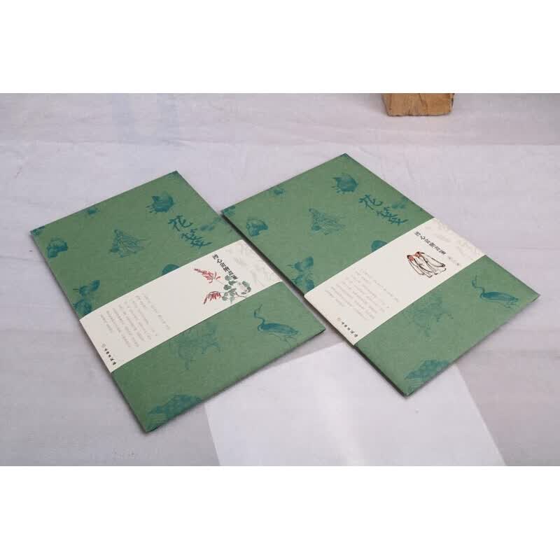 溥心畬绘画笺 第二辑 绘画书籍 画集 绘画赏析 名家画集 文物出版社