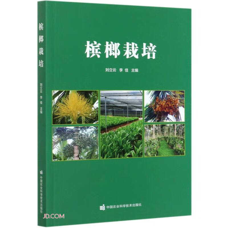 槟榔栽培