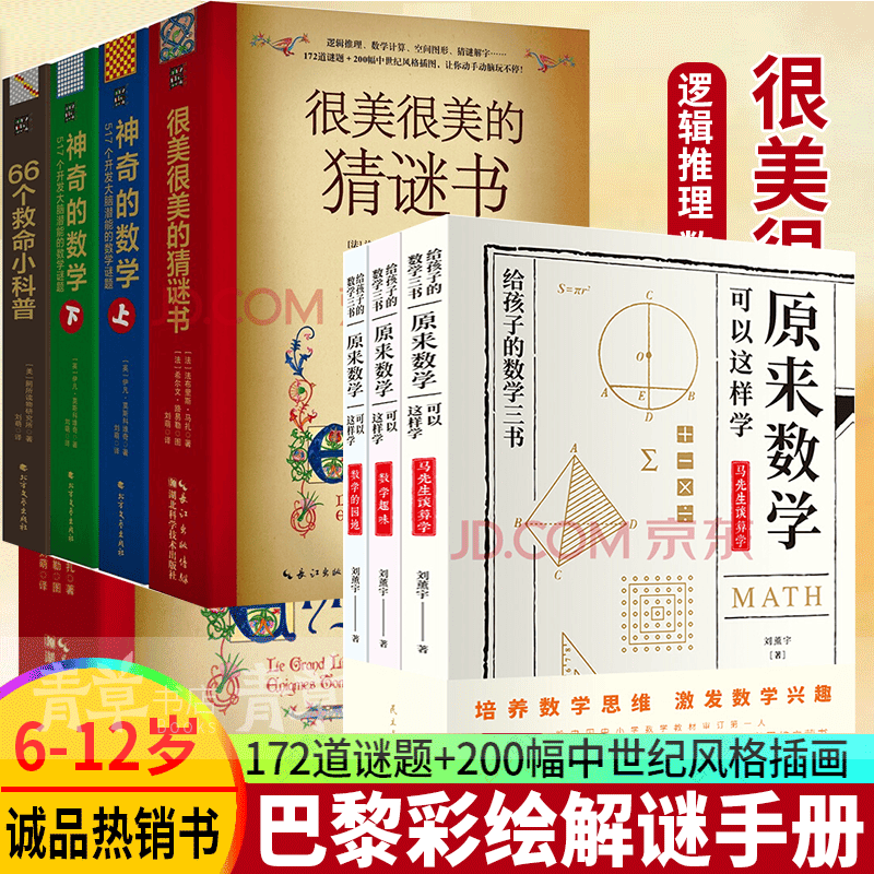 全7册 很美很美的猜谜书 数学三书 娱乐 休闲 [法]法布里斯·马萨,[法]希尔文·路易勒著数学猜谜