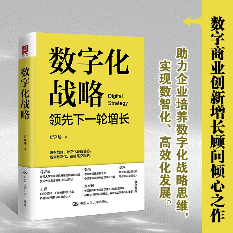 数字化战略 领先下一轮增长 唐兴通 著 经济