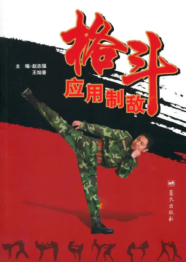 格斗应用制敌