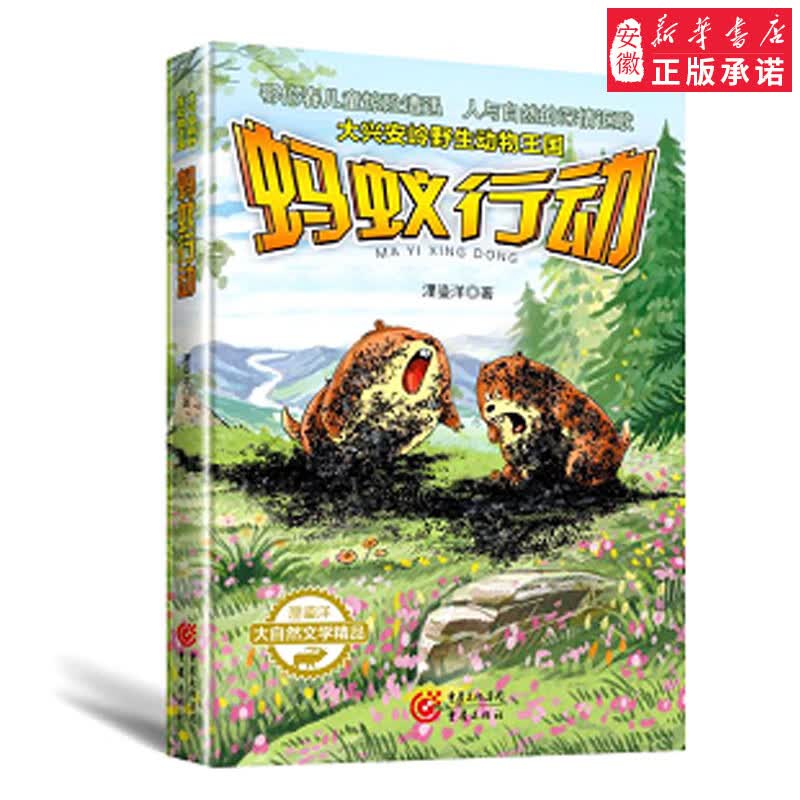 蚂蚁行动