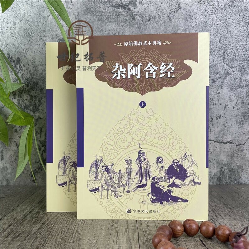 四阿含经 杂阿含经 简体横排版上下册 宗教文化出版社