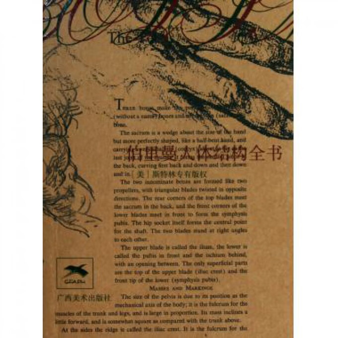伯里曼人体结构全书