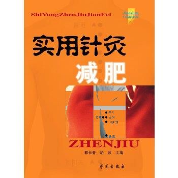 实用针灸减肥