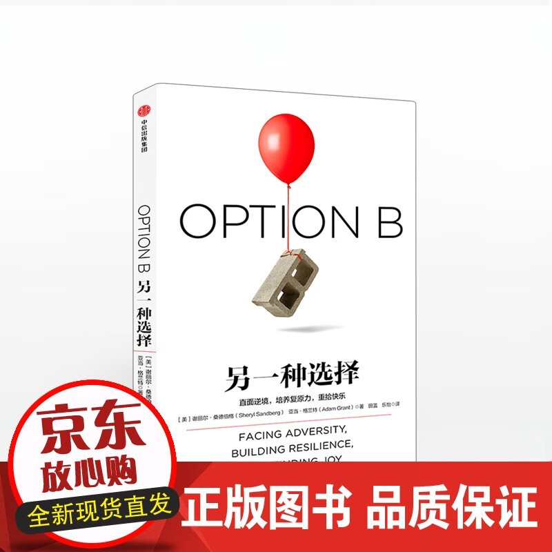 另一种选择 谢丽尔桑德伯格