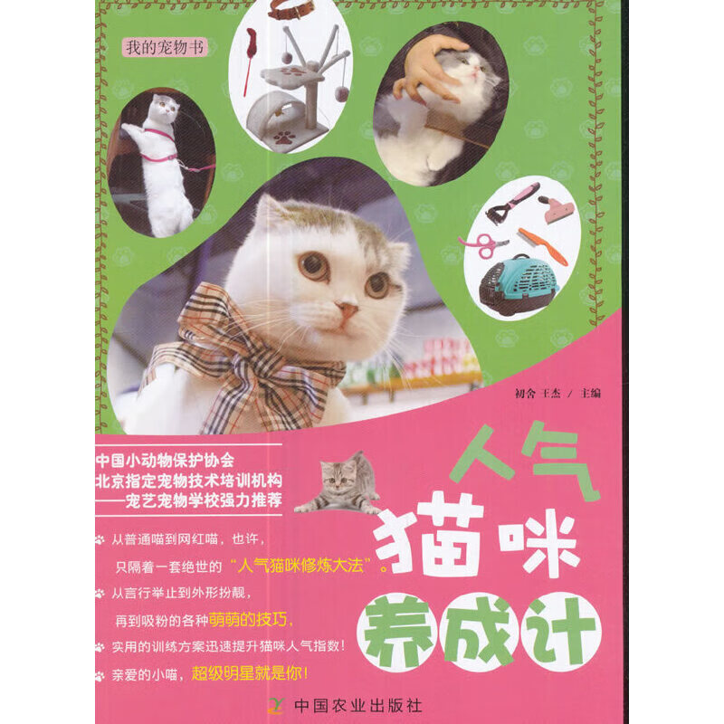 人气猫咪养成计