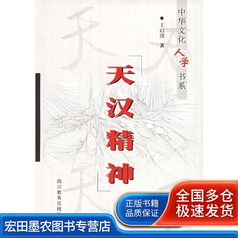 天汉精神【好书】