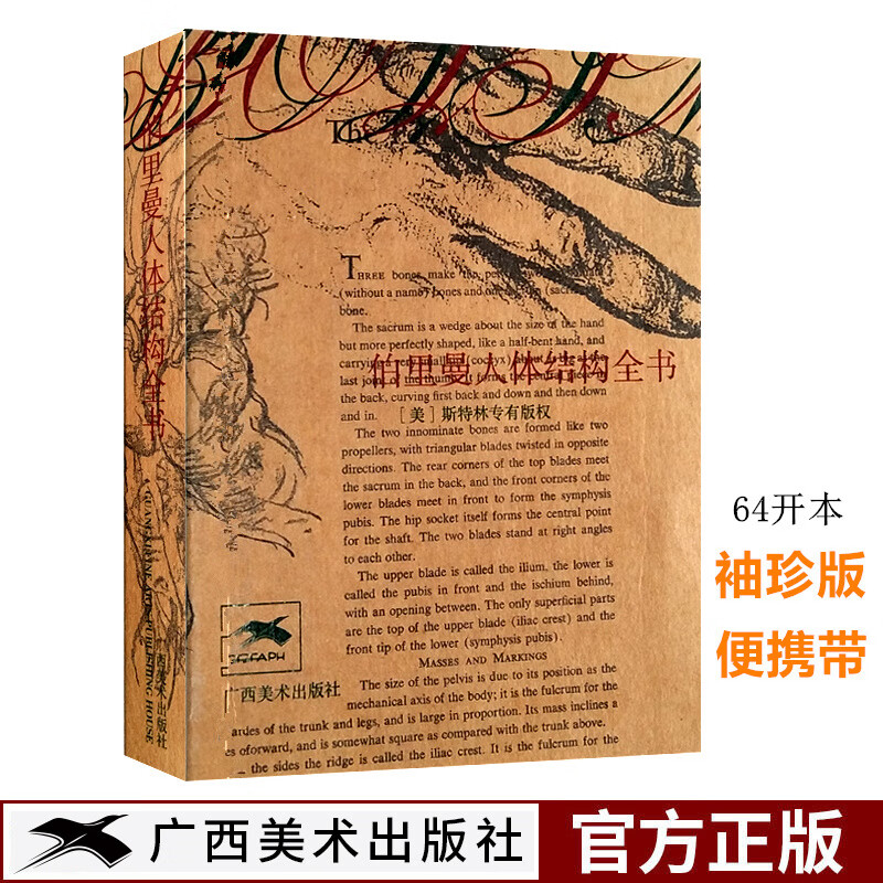 袖珍版伯里曼人体结构全书 人物速写入门手绘基础 实用人体素描速写人物基础技法教程 人体结构动态临摹练习
