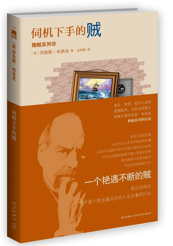 伺机下手的贼 (美)劳伦斯·布洛克,尤传莉 新星出版社