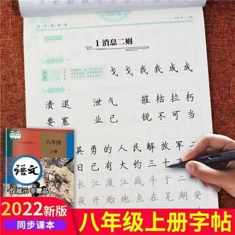 八年级上册下册语文人教部编版罗扬字帖初二同步字帖铅笔硬笔书法 【临摹】语文【八年级上册】45页