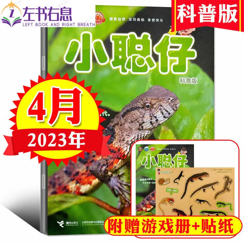 1/2/3/4月现货【送礼品2023全年/半年订阅】小聪仔杂志科普版2022年1-12月幼儿婴儿版0 科普版2023年4月鳄蜥
