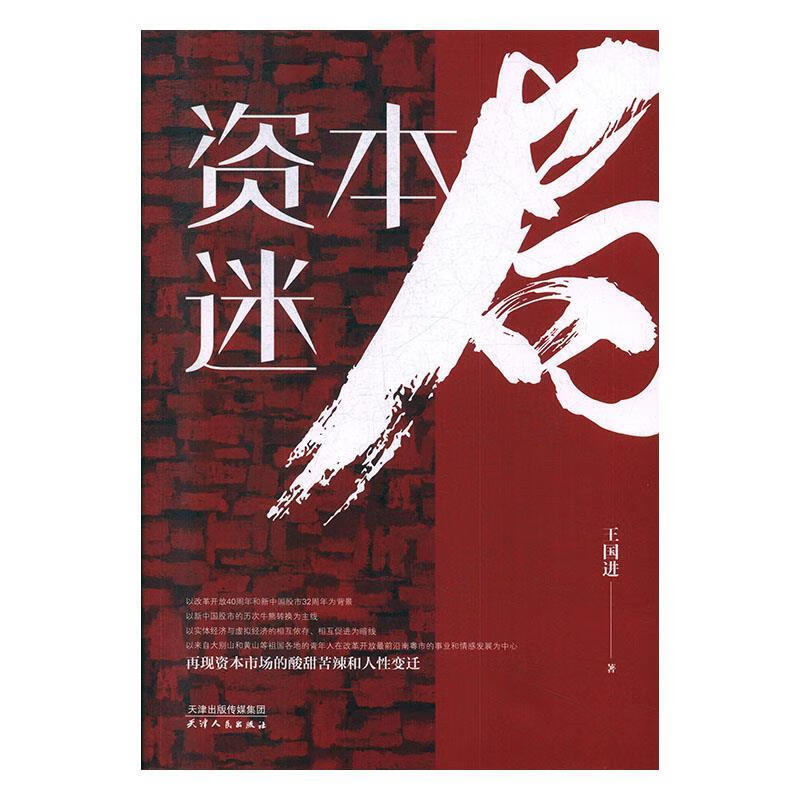资本迷局 王国进 天津人民出版社