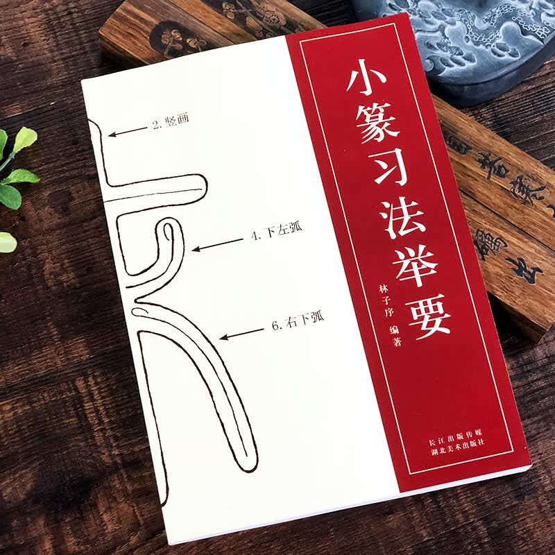 小篆习法举要 林子序著 小篆部首画顺讲解 篆法解析毛小篆书法字帖初学金文篆书说文解字 李斯峄山碑邓石如篆