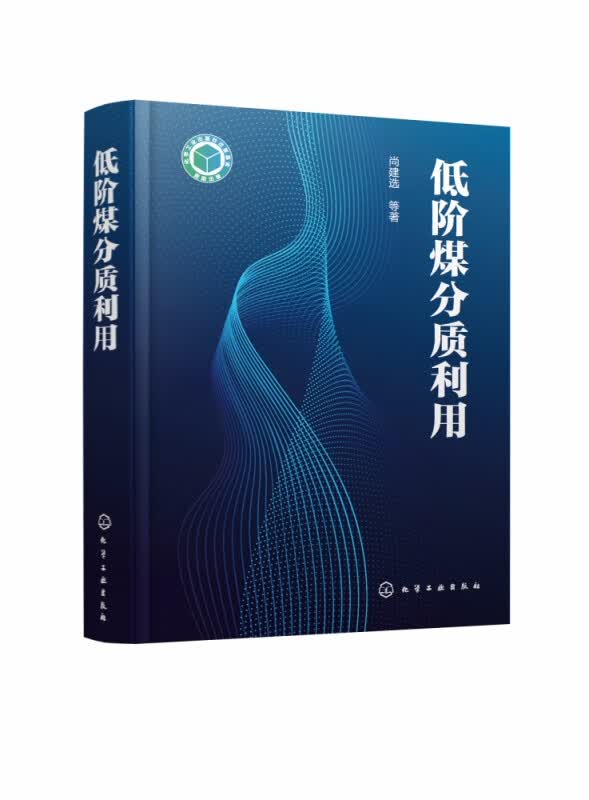 低阶煤分质利用(精)