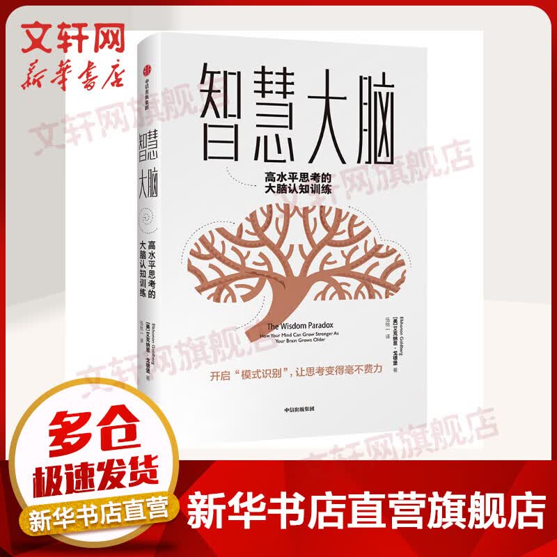 智慧大脑 高水平思考的大脑认知训练