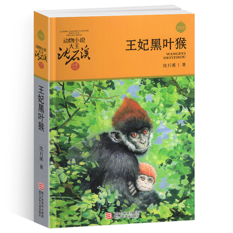 残狼灰满沈石溪小学四年级五年级全集全套书浙江少年儿童非注音版完整版动物小说大王品藏书系小学 王妃黑叶猴