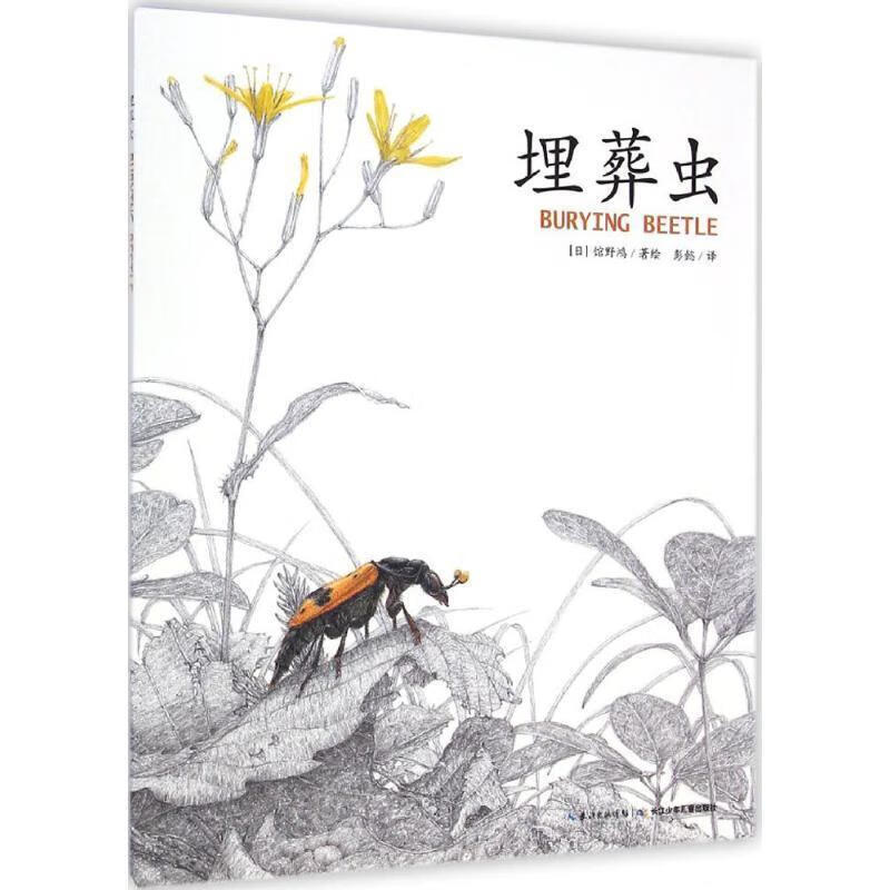埋葬虫【，放心购买】