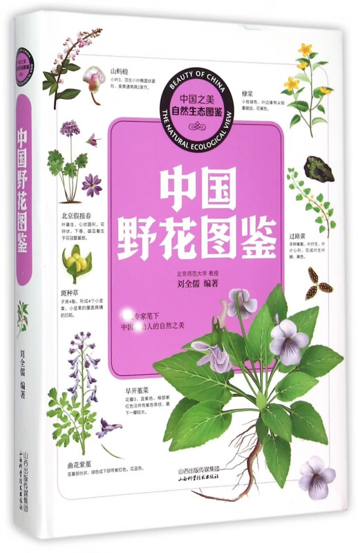 中国野花图鉴/中国之美自然生态图鉴