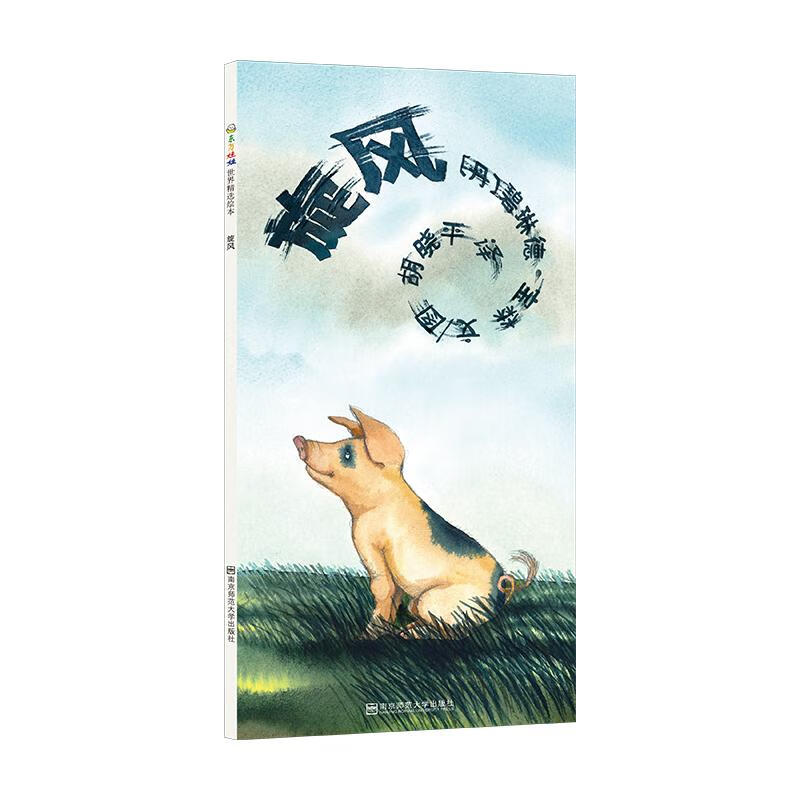 旋风 平装【好书】