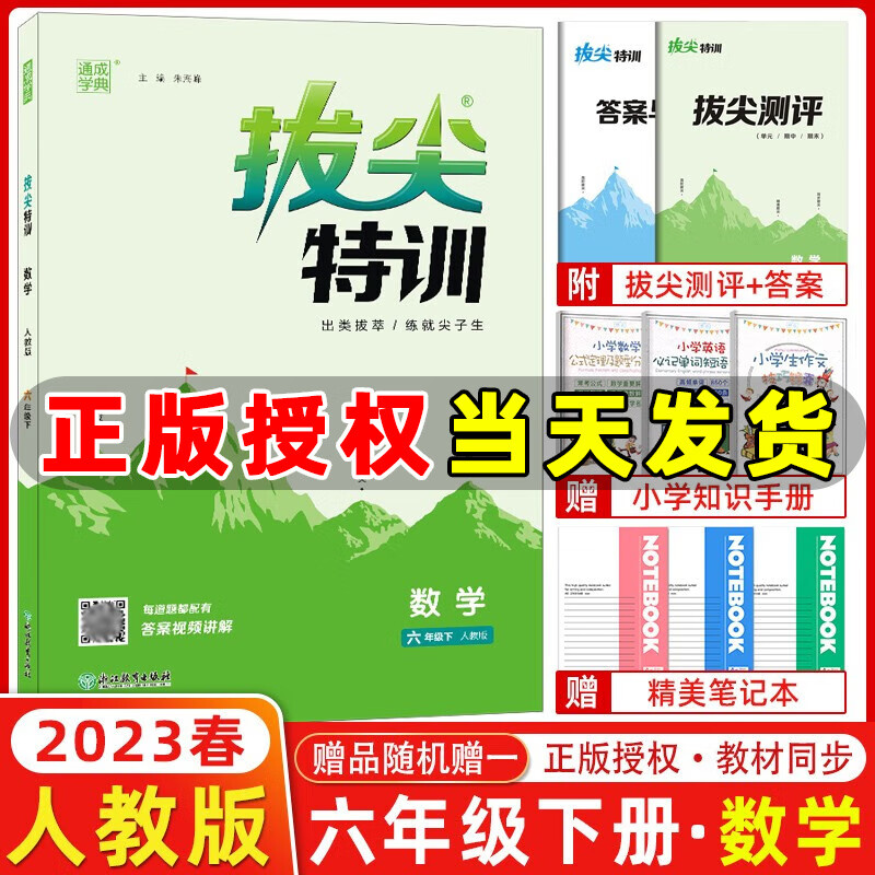 2024版拔尖特训六年级上册下册语文数学英语人教版外研版北师版青岛版苏教版小学6年级教材同步练习册课时拔尖思维拓展方法通城学典 六年级下册【数学 人教版】