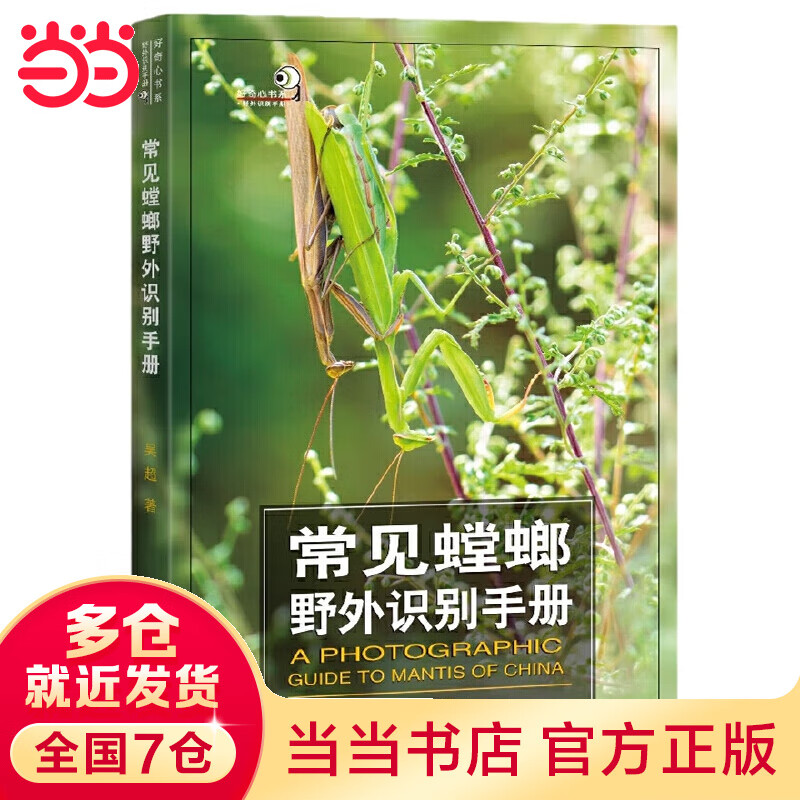 常见螳螂野外识别
