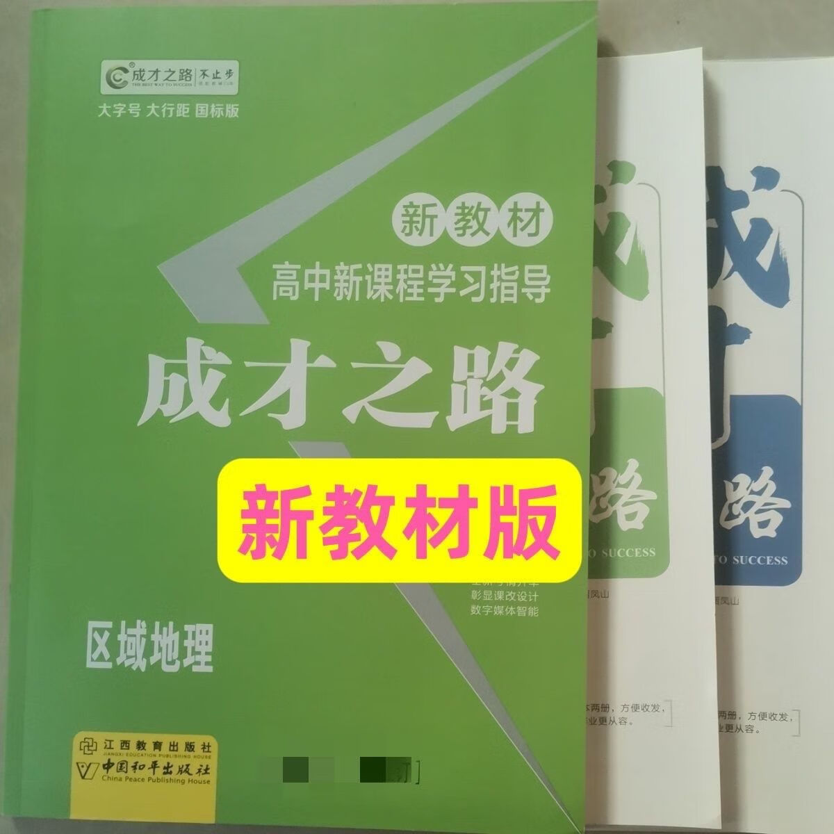 2022新 新学习指导 成才之路区域
