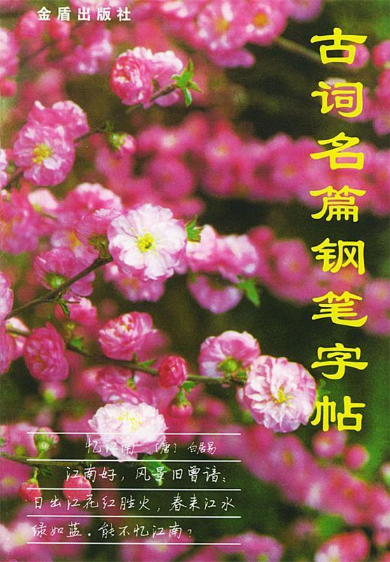 古词名篇钢笔字帖【好书，下单速发】
