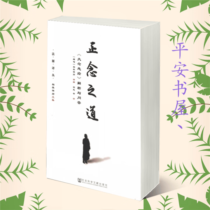 正念之道 大念处经 解析与问答（缅甸）帕奥禅师讲解 2016.06