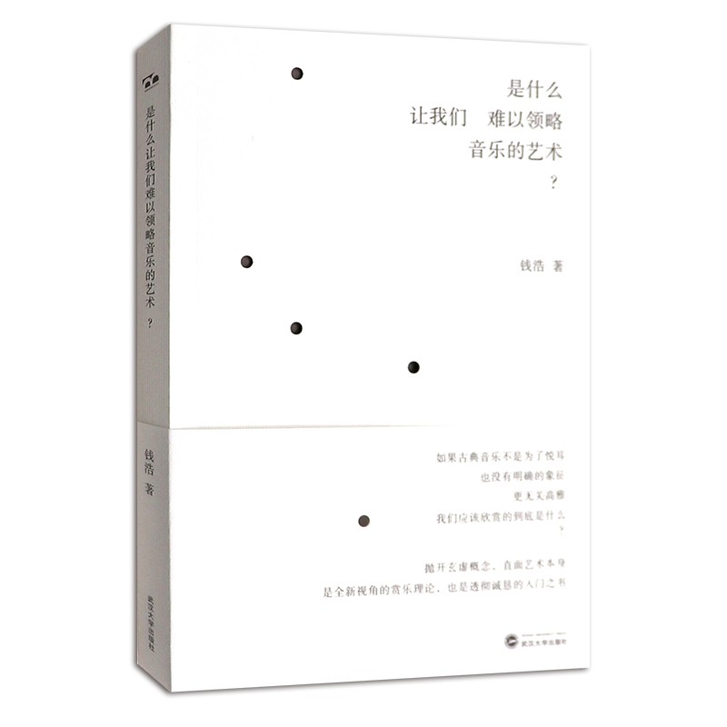 是什么让我们难以领略音乐的艺术 武汉大学出版社