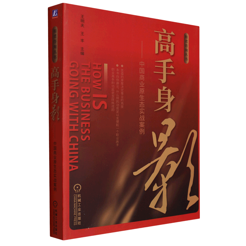高手身影--中国商业原生态实战案例/和君咨询丛书