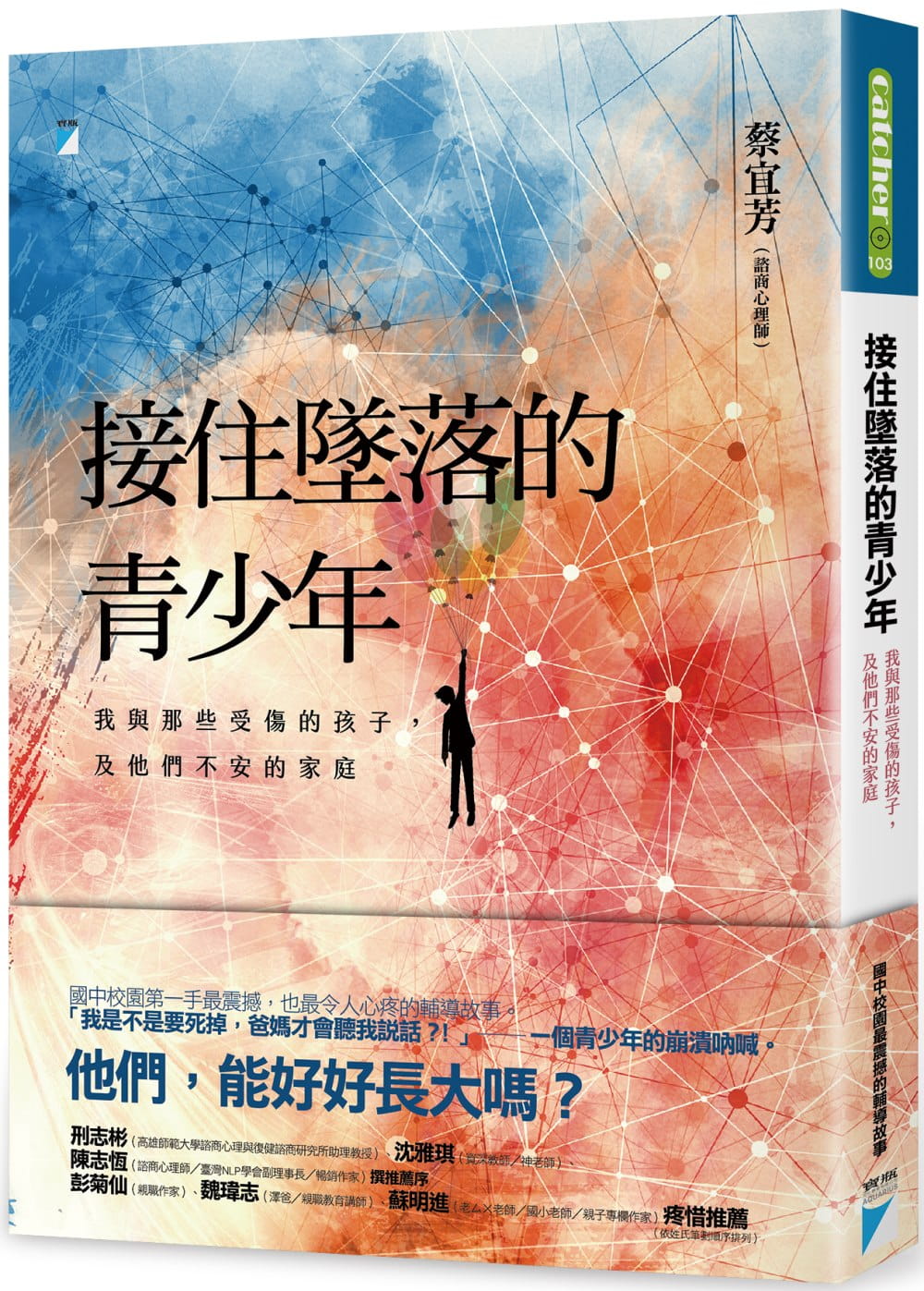 预售 蔡宜芳接住坠落的青少年：我与那些受伤的孩子，及他们不安的家庭宝瓶文化