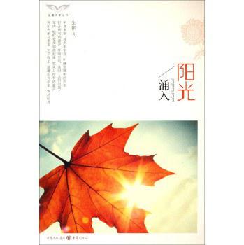 阳光涌入 朱雀【好书，下单速发】