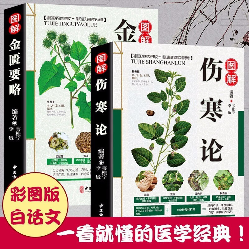 伤寒论原版张仲景医学经典著作 伤寒杂病论 金匮要略 中国医学书籍 中医入门基础书籍大全 【全2册】伤寒论+金匮要略