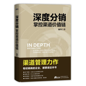 深度分销: 掌控渠道价值链 施炜 著