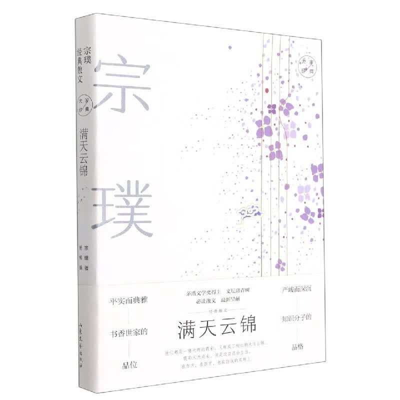 大家经典系列作品——满天云锦：宗璞经典散文 西湖漫笔 紫藤萝瀑布 童话、短诗和译作