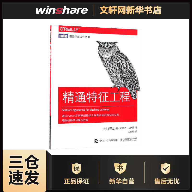 精通特征工程