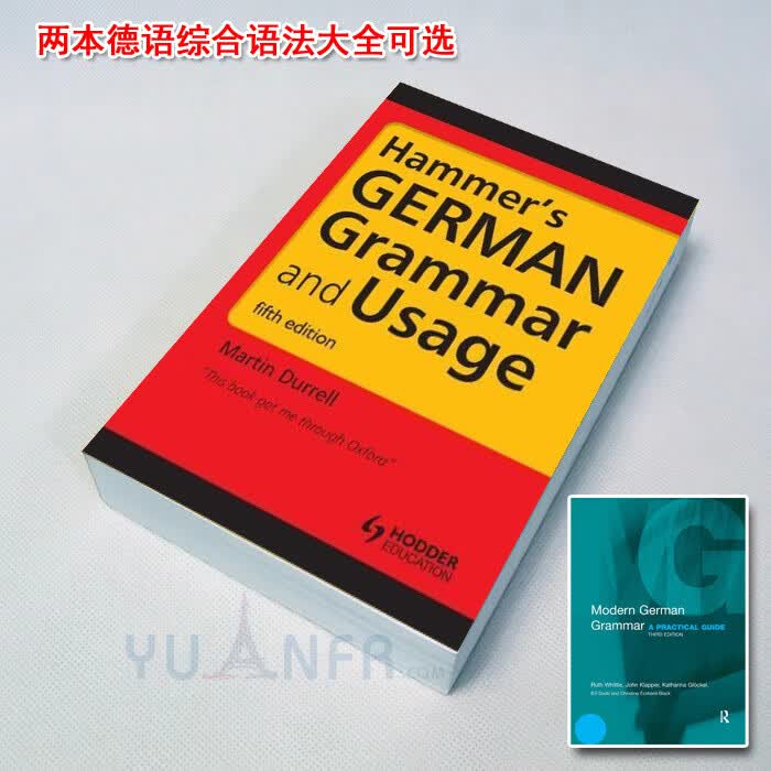 自学德语语法综合教程 Hammers German Grammar and Usage Modern 蓝皮语法书