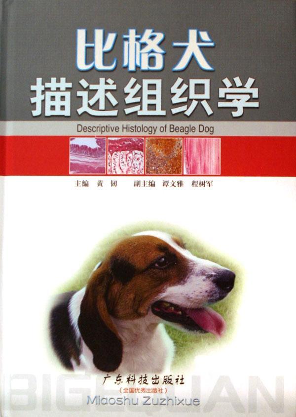 比格犬描述组织学(精装)黄韧广东科技出版社9787535940025 婚恋与两性书籍