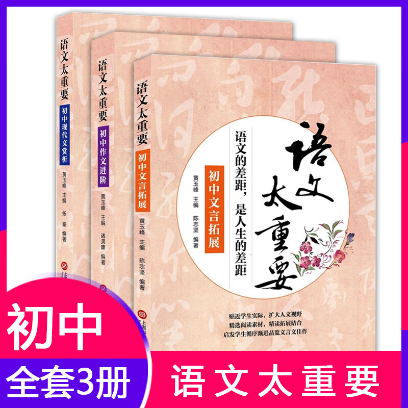 语文太重要 初中文言拓展+初中现代文赏析+初中作文进阶 套装全3册 王召强 上海科学技术文献初中语文 【套装3册】初中语文太重要