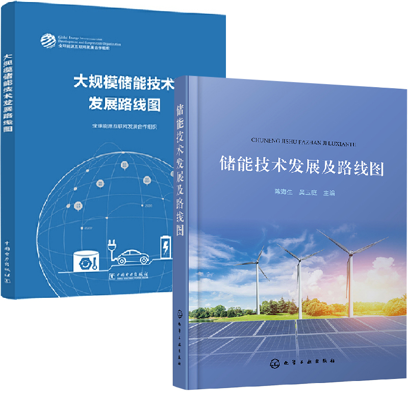 【全2册】储能技术发展及路线图+大规模储能技术发展路线图能源与动力工程储能产业发展储能技术特性储能源产业发展研究报告参考
