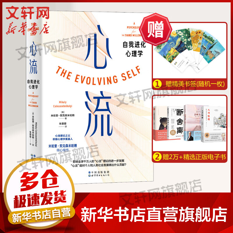心流 自我进化心理学 图书
