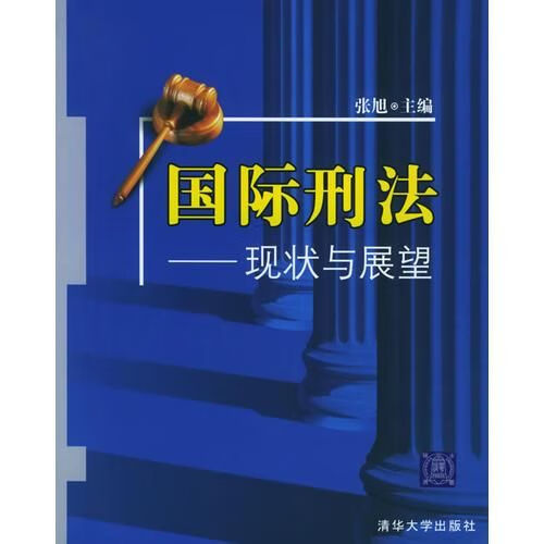 国际刑法-现状与展望