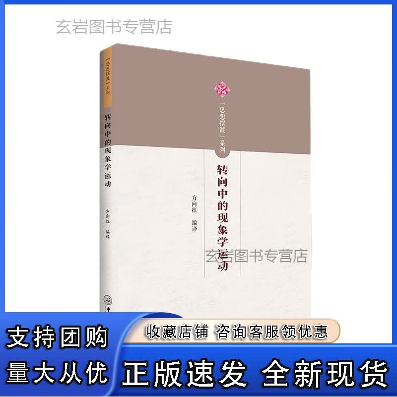 n转向中的现象学运动