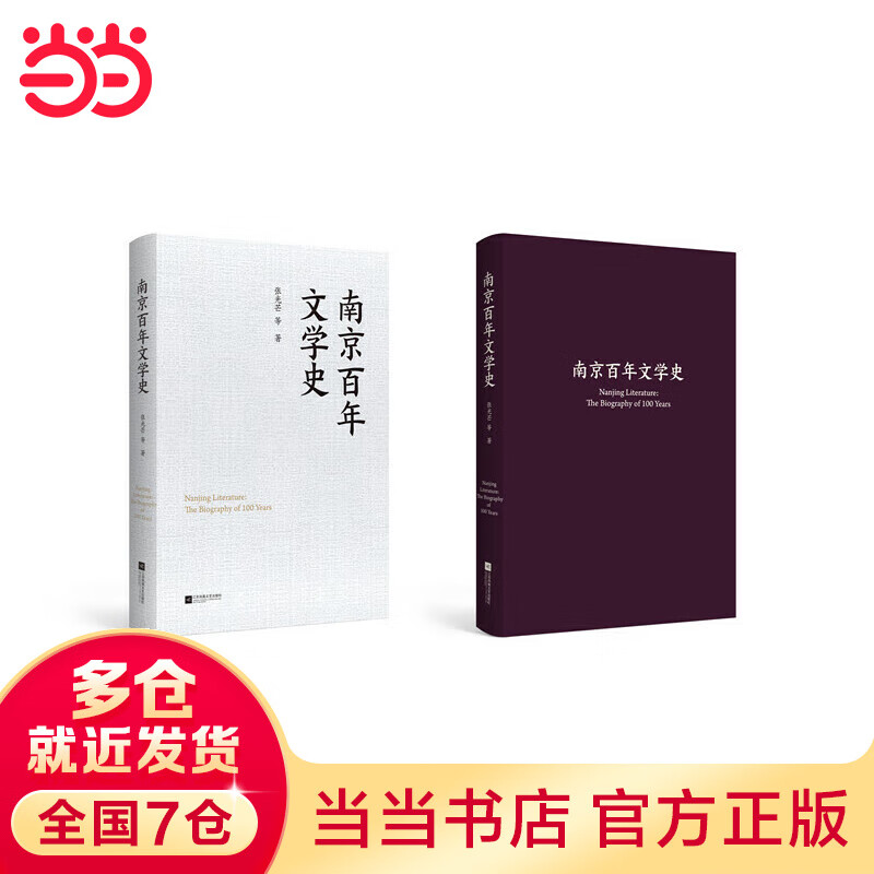 南京百年文学史