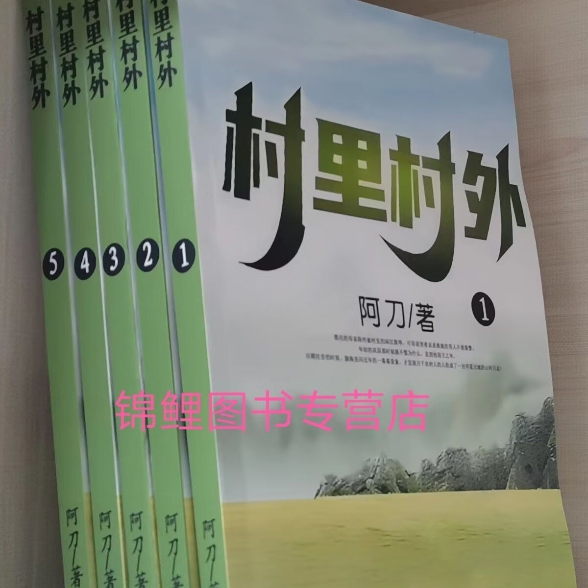 现货 《村里村外》小说 阿刀著 全新完结5册+番外 全五册完