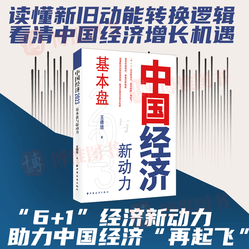 中国经济 2023 基本盘与新动力 读懂新旧动能转换逻辑 看清中国经济增长机遇 上海远东出版社 9787547618974