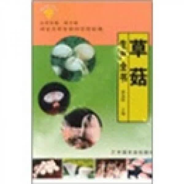 菇生产全书9787109092617