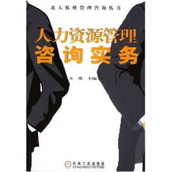 人力资源管理咨询实务 王璞 著