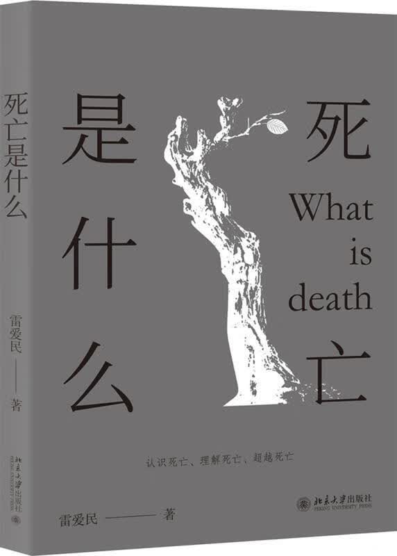 死亡是什么 雷爱民 9787301315163